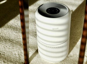 What Is an Air Purifier and How Does It Work?