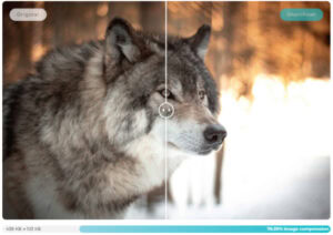 Lossy Compression vs. Lossless Compression: Explained